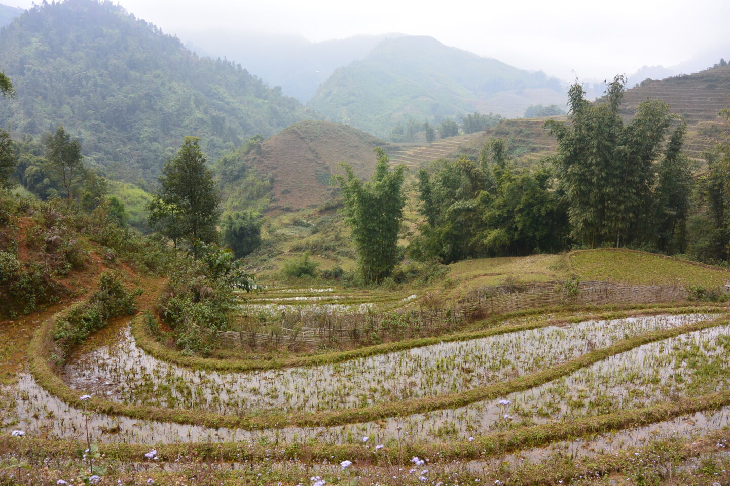 Entendiendo Sapa, sus trekking y aldeas donde ir - Jeremaixs Blog