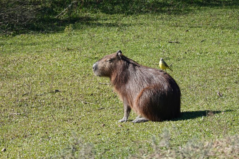 Colón, base para visitar el Parque Nacional El Palmar - Jeremaixs Blog